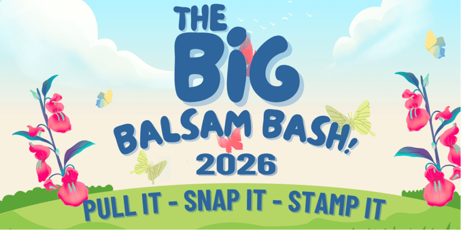 Big Balsam Bash 2026 | Bolton Green Umbrella